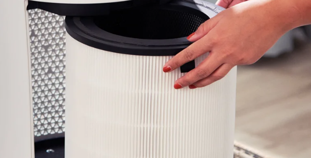 How to Clean Air Purifier Filters - Best Purifier Guide